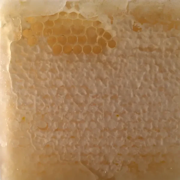 Local Honey Comb | Catskill Mountain Country Store